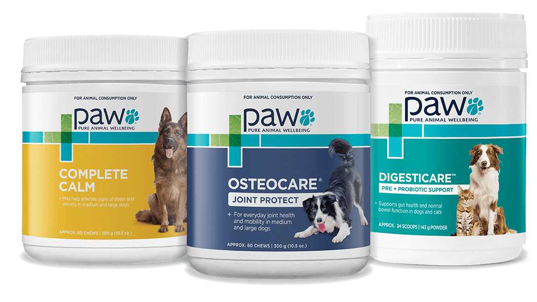 PAW | Pure Animal Wellbeing