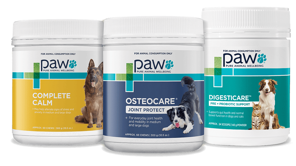 PAW | Pure Animal Wellbeing